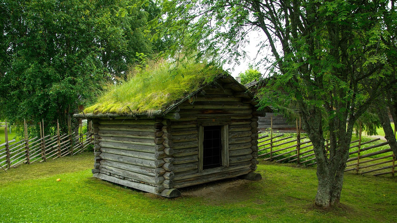 Finnish Verb Types: Simple Guide To The 6 Groups | Talk In Finnish